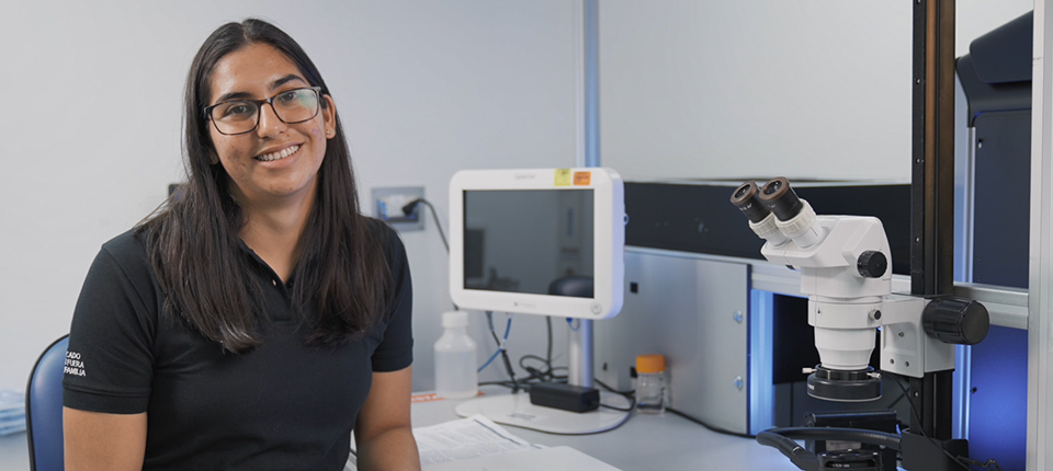 Abbott Early Careers