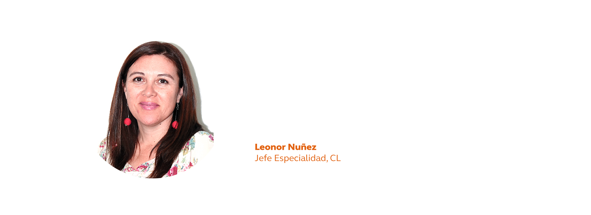 Arcadis Chile & Peru