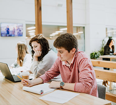 Internship Program | Belk Careers