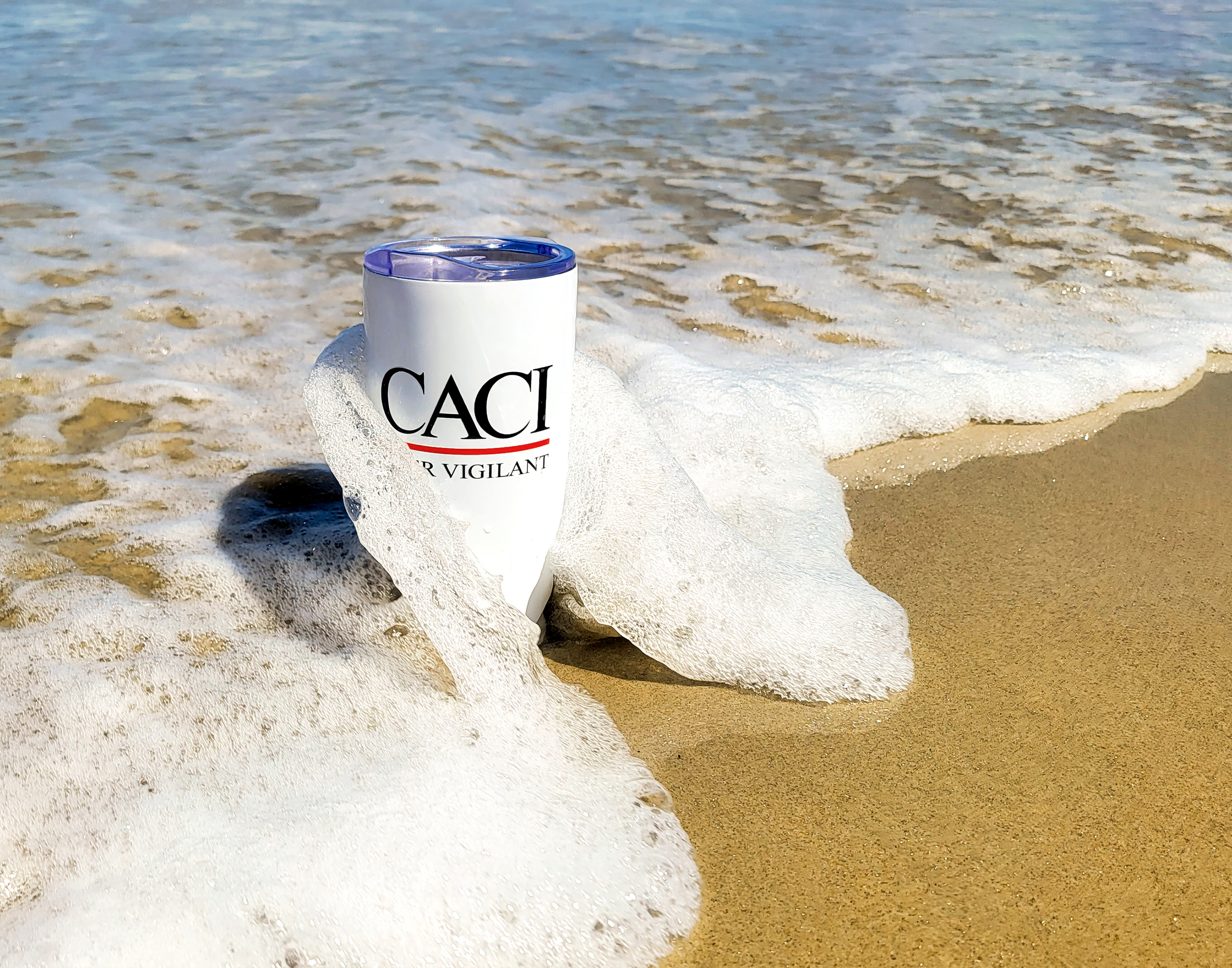 Candidate Resources | CACI Careers