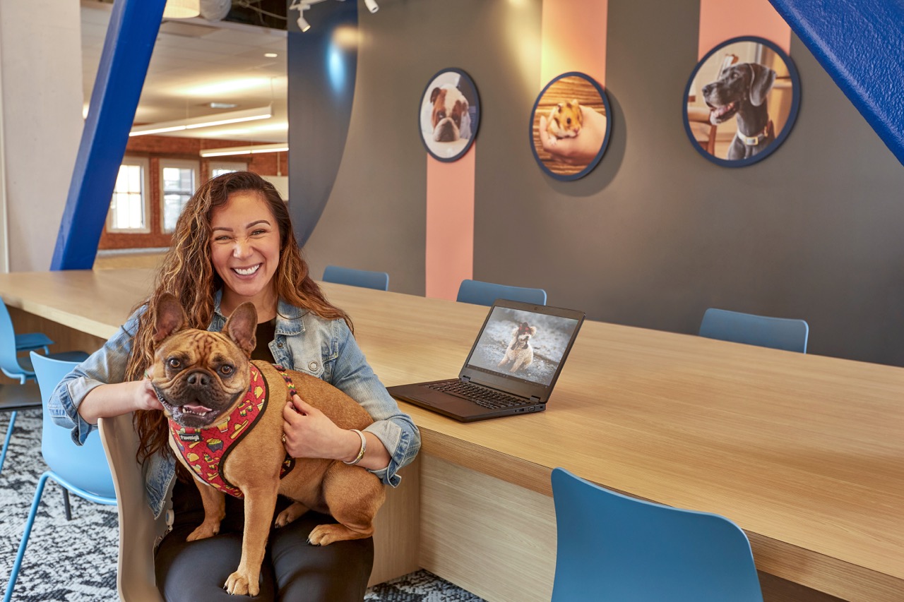 Corporate Careers | Chewy, Inc.