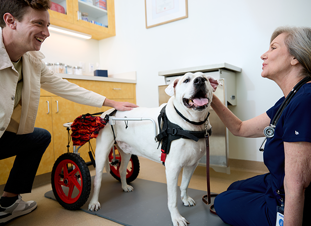 Our Locations | Chewy Vet Care Careers