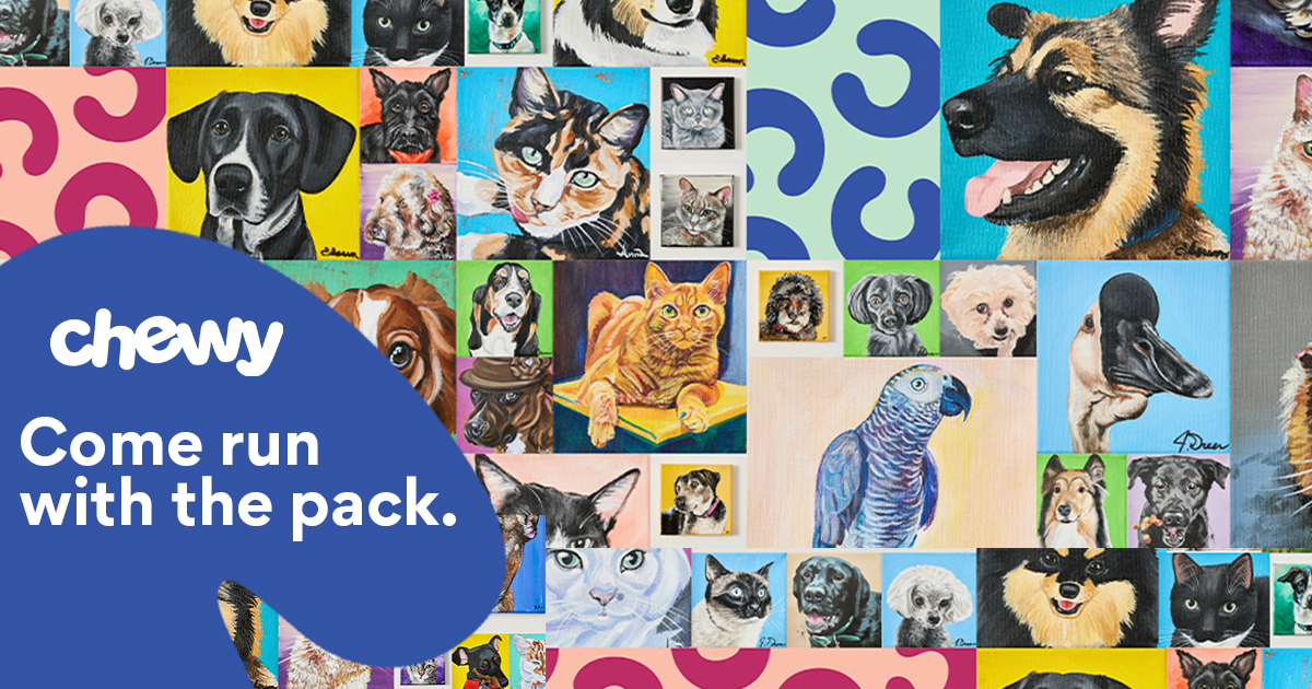 studios jobs | studios jobs at Chewy Inc