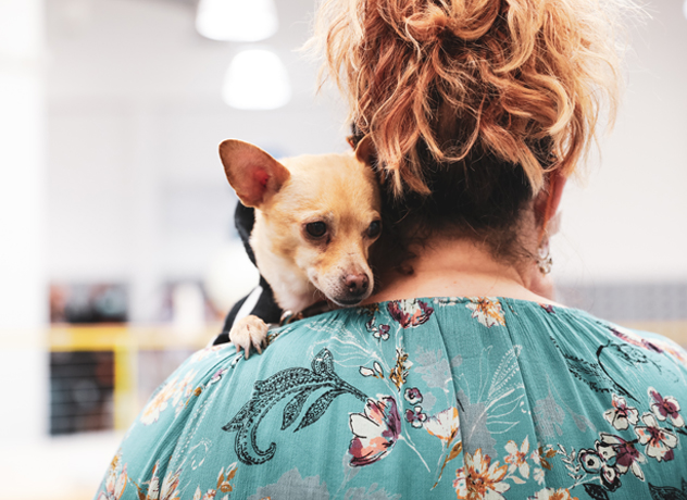 Customer Service Representative Growth Opportunities | Chewy