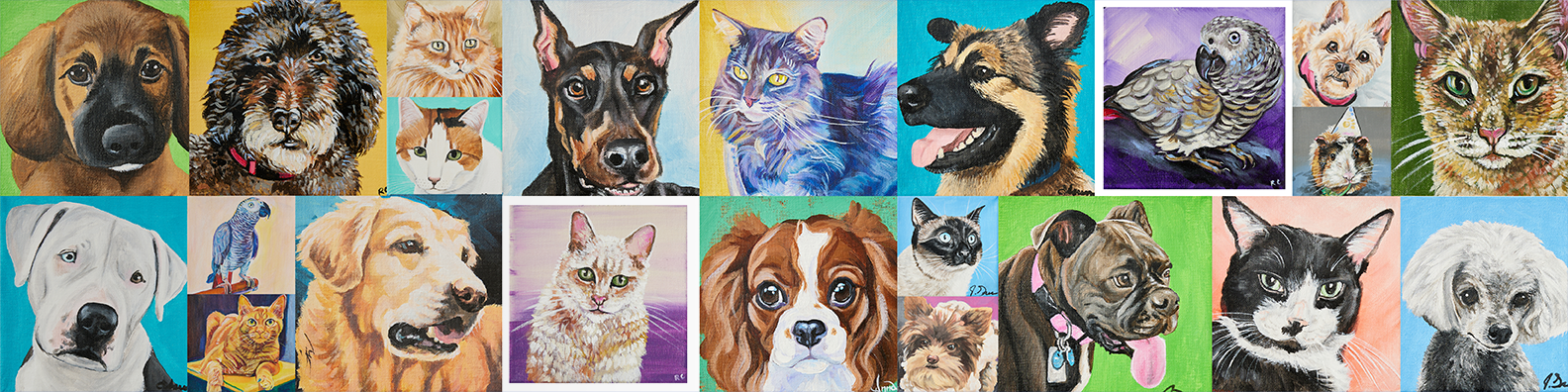 Careers at Chewy, Inc. | Chewy, Inc. jobs