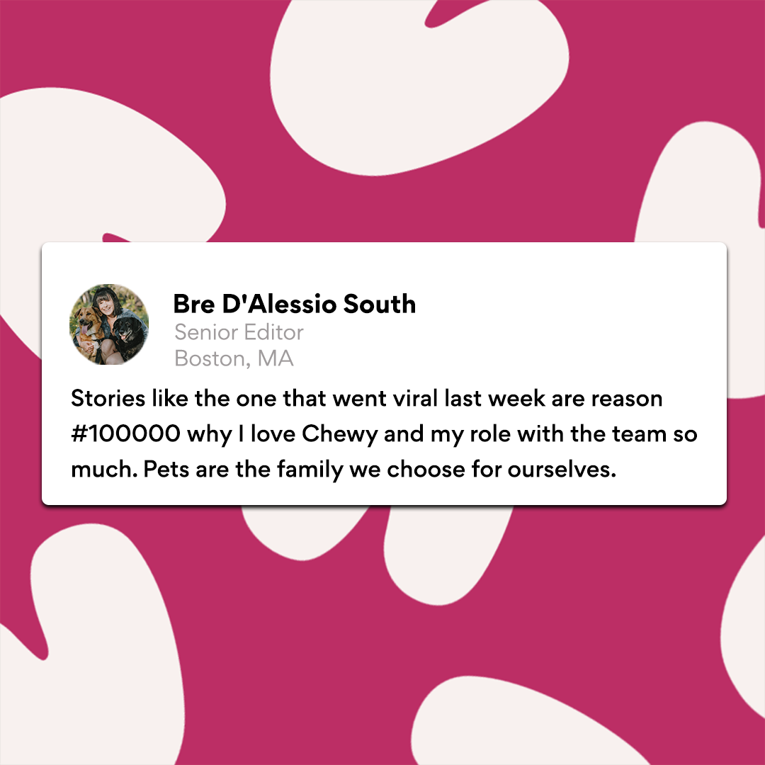 Life at Chewy | Chewy, Inc. Careers