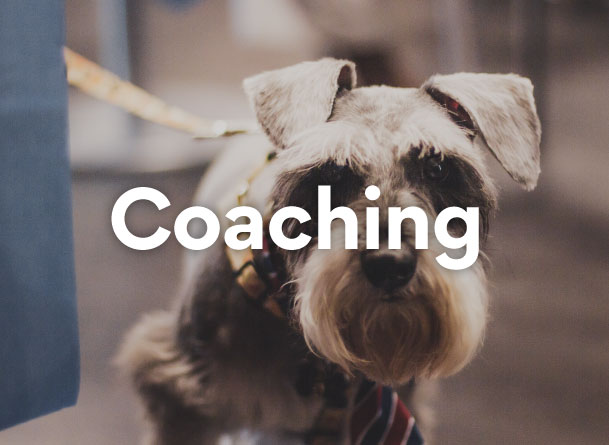 Customer Service Career Support | Chewy