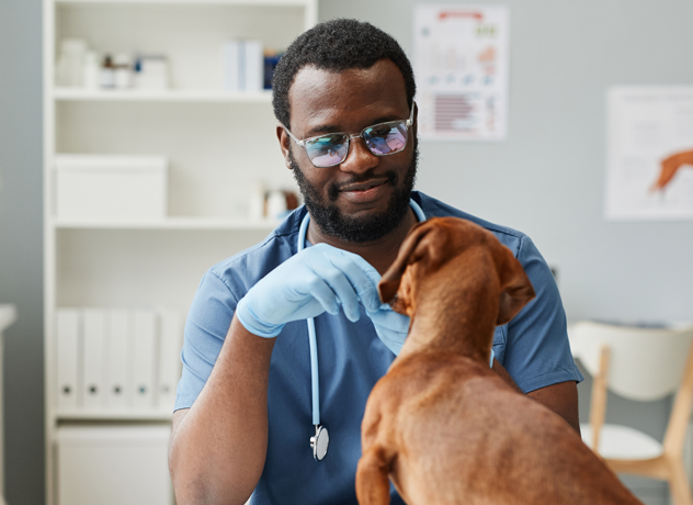 Veterinary Careers | Chewy Vet Care