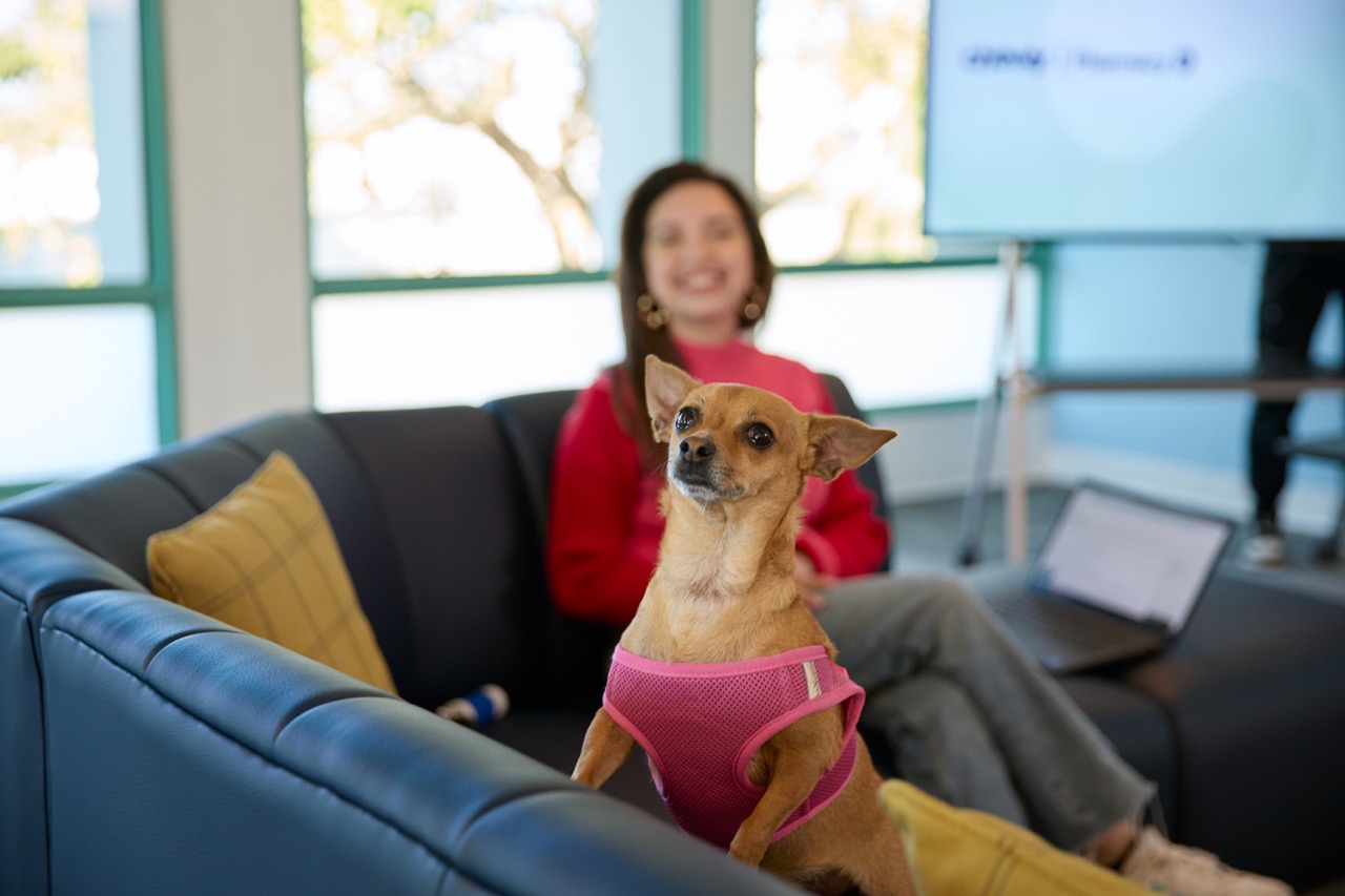 Corporate Careers | Chewy, Inc.