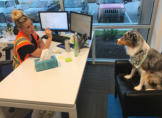 Life at Chewy | Chewy Careers