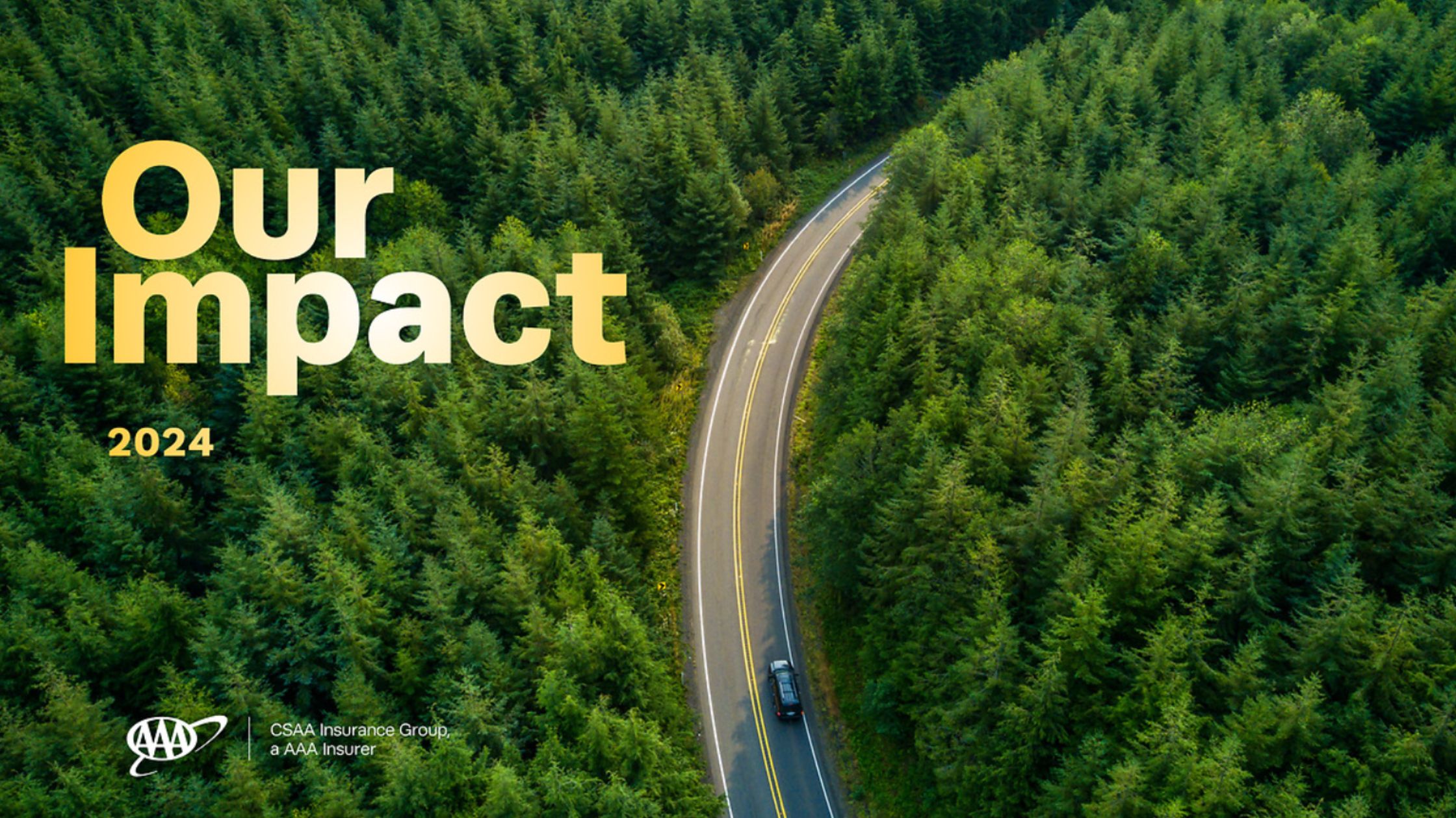 Inclusion and Belonging | CSAA Insurance Group