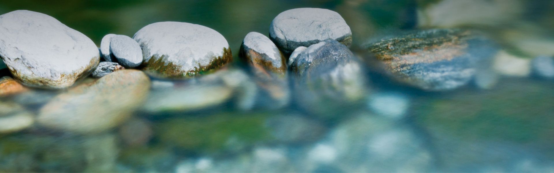 Inclusion and Belonging | CSAA Insurance Group