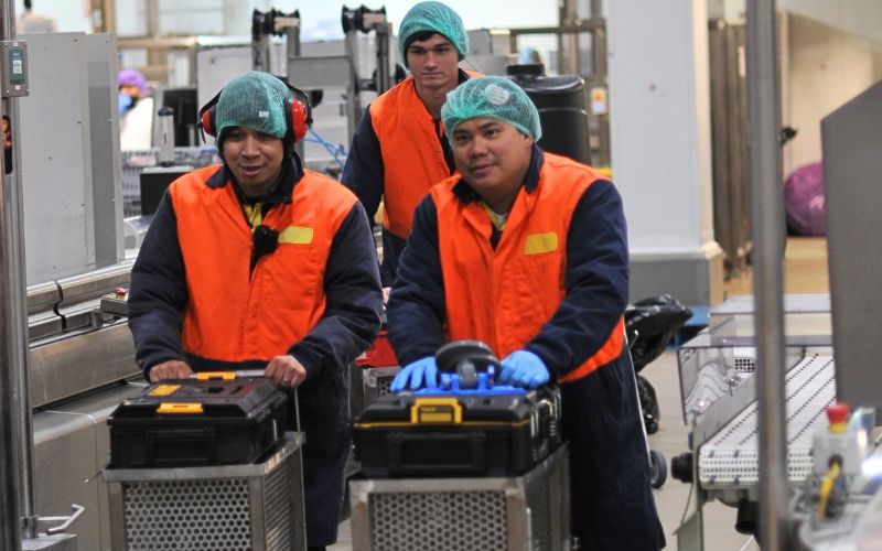 Manufacturing | Coles Careers