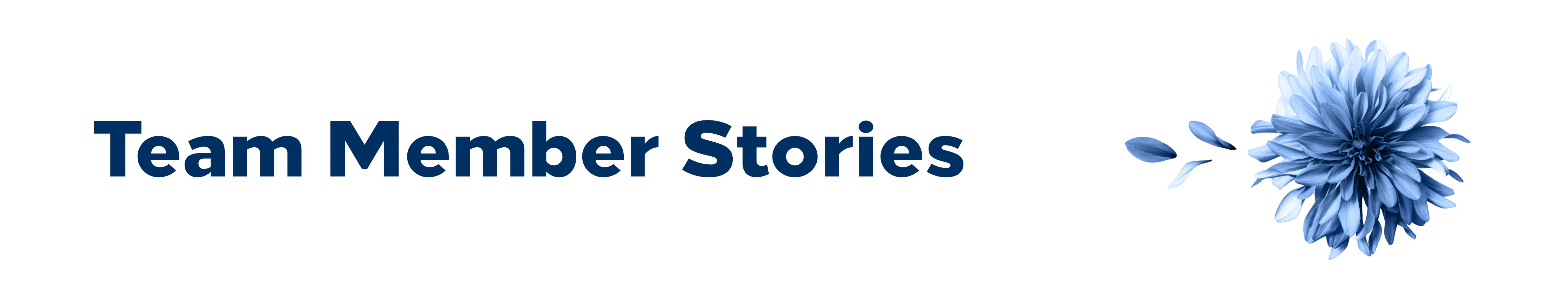 Team Member Stories Care for All | Hilton