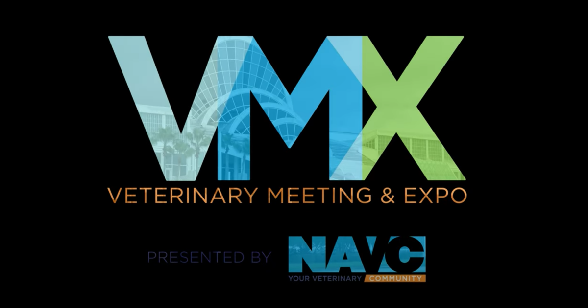 Veterinary Software | IDEXX