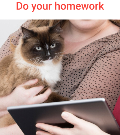 Do Your Homework Cat