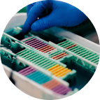 IDEXX Talent Community Updates Q3