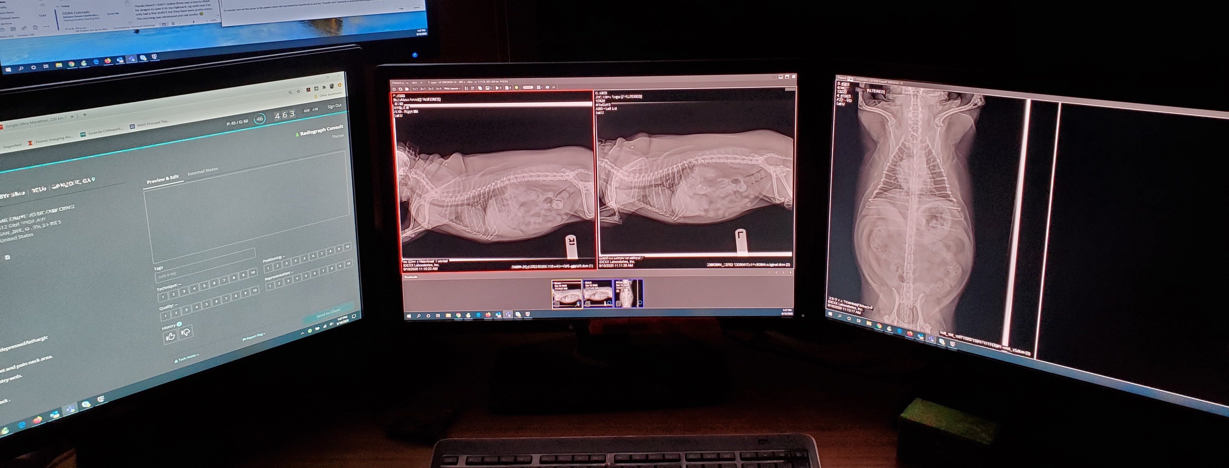 IDEXX Telemedicine Consultants: Global Veterinary Specialists Providing ...