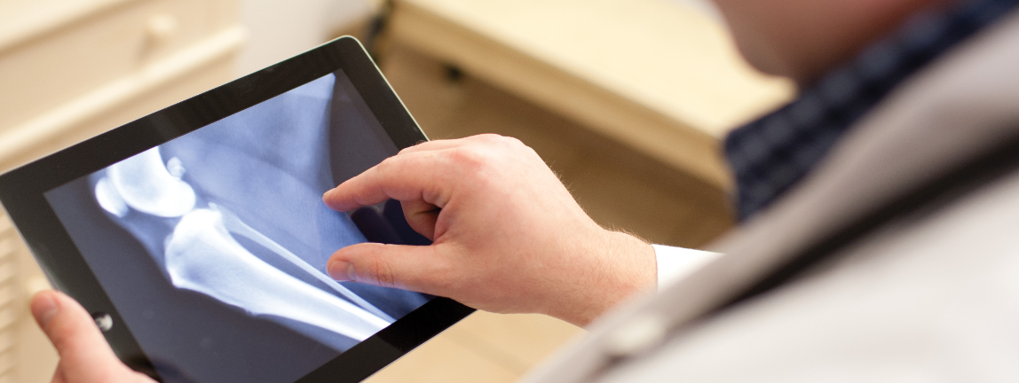 IDEXX Telemedicine Consultants: Global Veterinary Specialists Providing ...