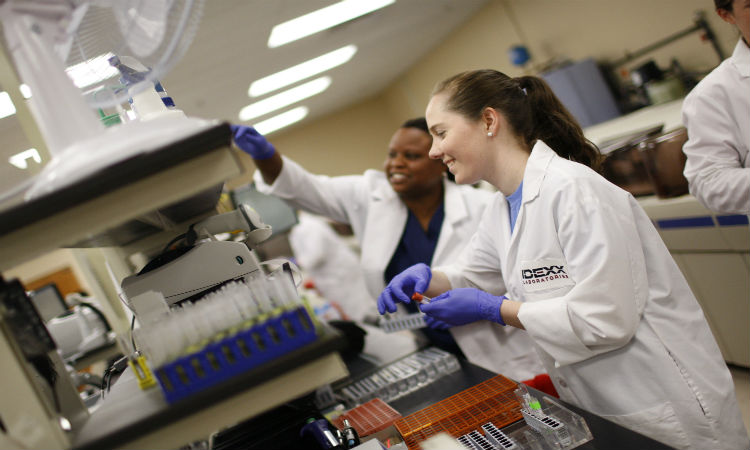 Explore Histology Job Opportunities at IDEXX