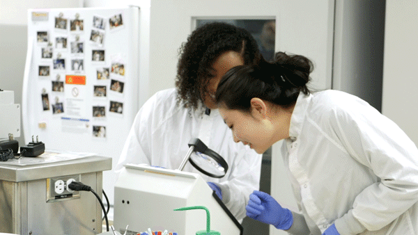 Who We Are | Careers at NASA's Jet Propulsion Laboratory (JPL)