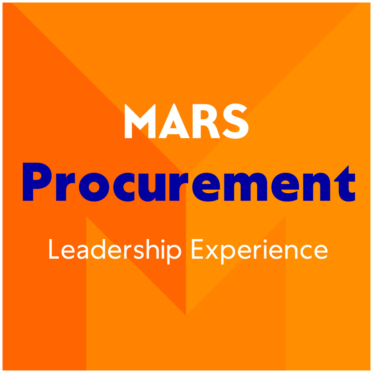 Program Menedżerski Mars Leadership Experience