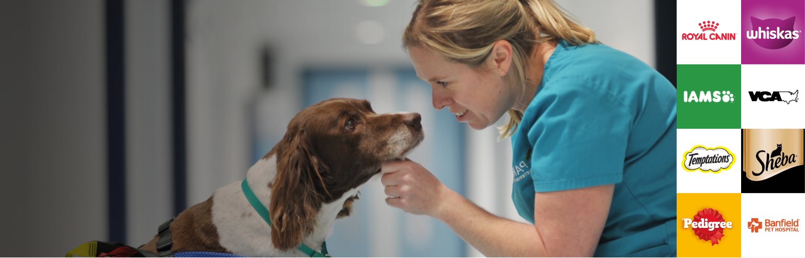 Mars Petcare Search Page