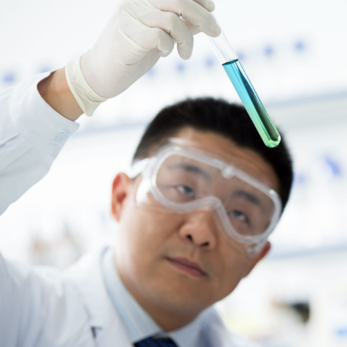 Postdoctoral Research Fellow Program