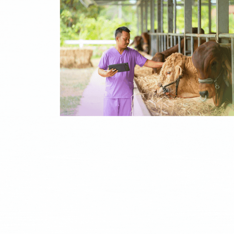 Welcome to Merck | Work with us | Merck Careers