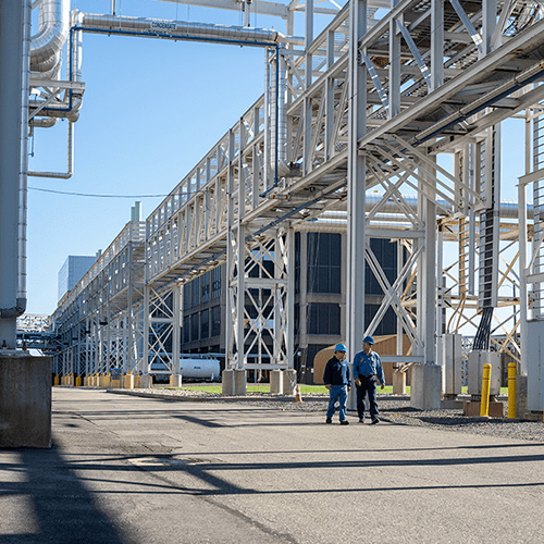 Join our Vaccines Team | Merck Careers