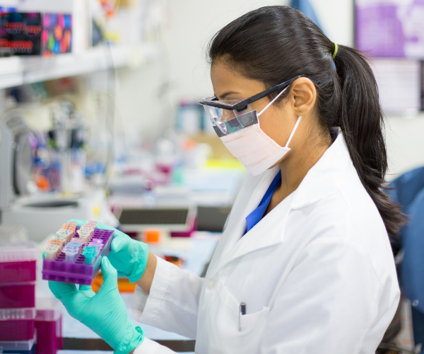 Research and Development | Merck Careers