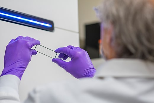 Join our Information Technology team | Merck Careers