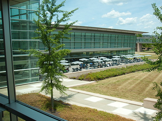 Medical Doctors & Physicians | Merck Careers