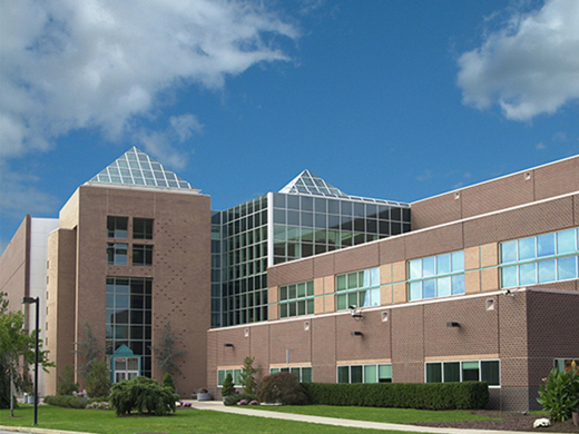 Medical Doctors & Physicians | Merck Careers