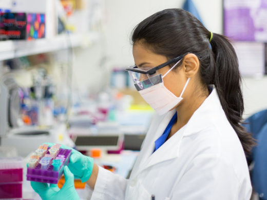 Global Supplier Management Group | Merck Careers