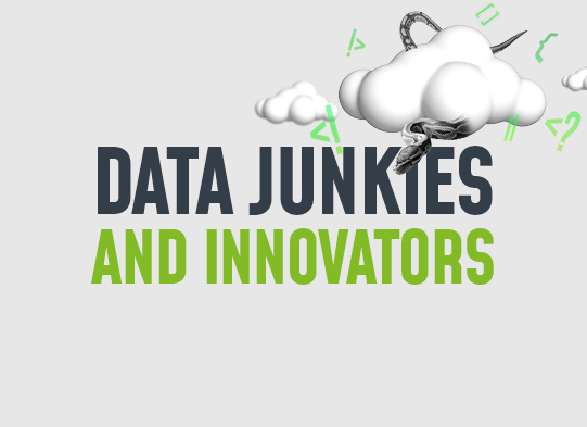 Data Junkie