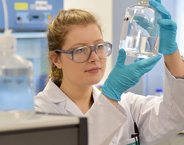 Join our team at MSD Brinny, IE | MSD Careers