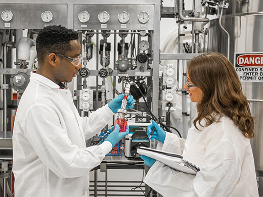 Manufacturing & Supply Division | MSD Careers