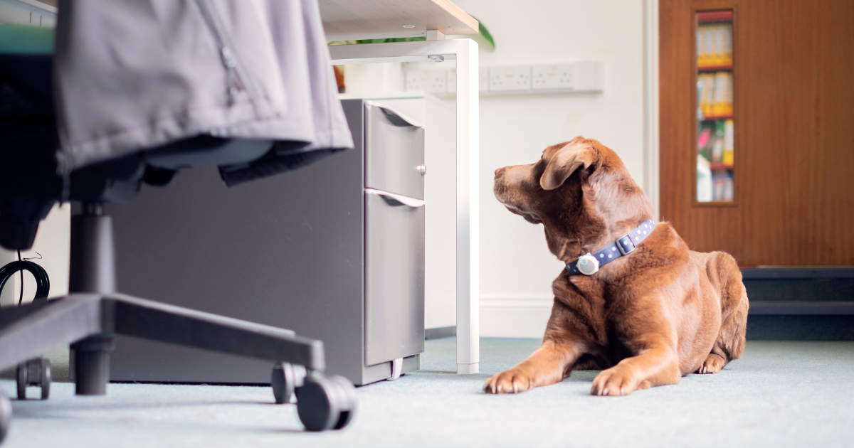 Jobs In AH Tech Labs