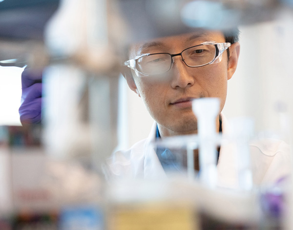 Postdoctoral Research Fellow Program