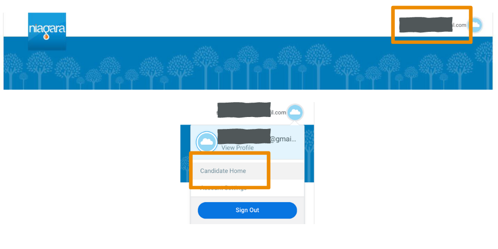 Candidate Account | Niagara External