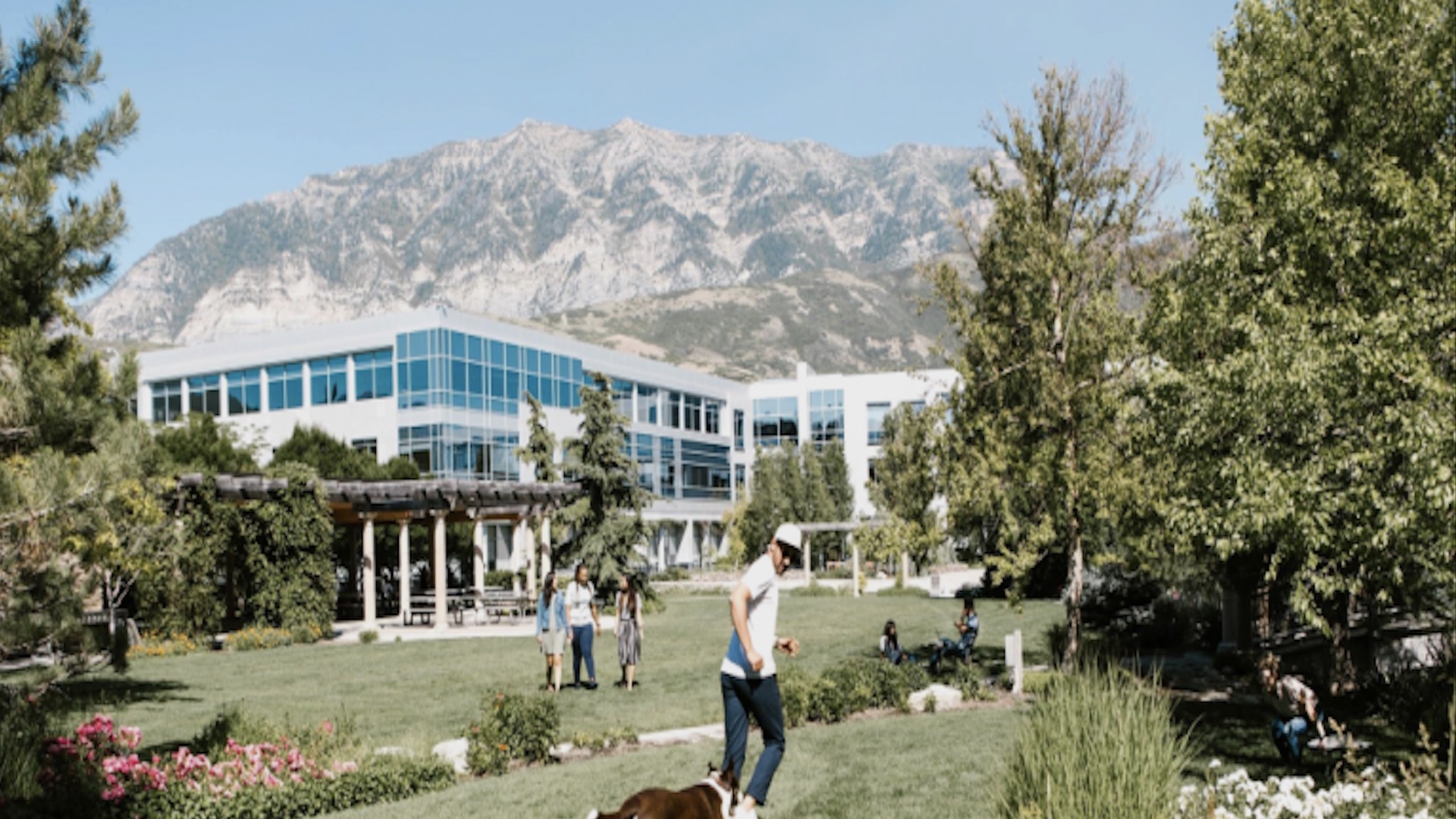 Early Career Opportunities at Qualtrics