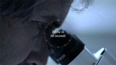 Business Perspectives at Roche