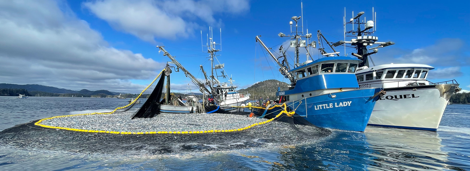 REAL ID | Silver Bay Seafoods