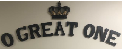 OGO SOP | Trilogy Health Services