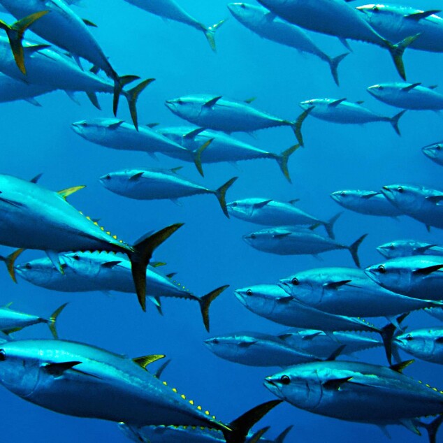 BCG X Careers | Building Tomorrow and Beyond