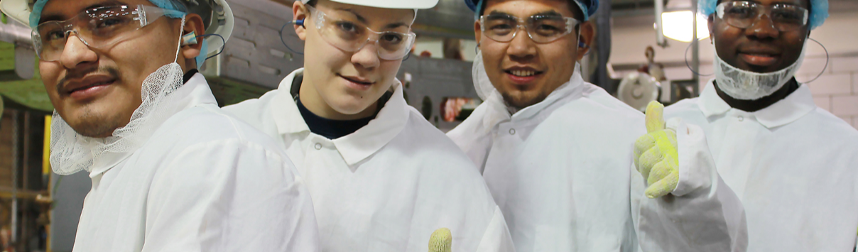 Careers at JBS Foods | JBS Foods jobs