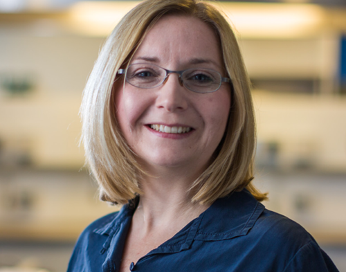 Philips Careers | Philips Jobs