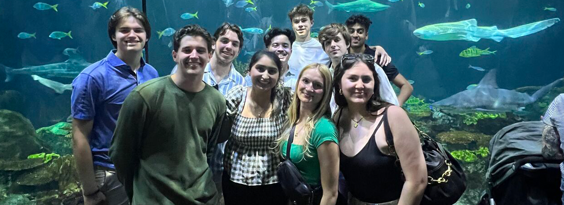 University Internship Program | Abbott