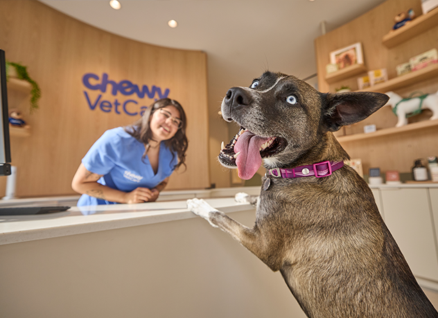 Our Locations | Chewy Vet Care Careers
